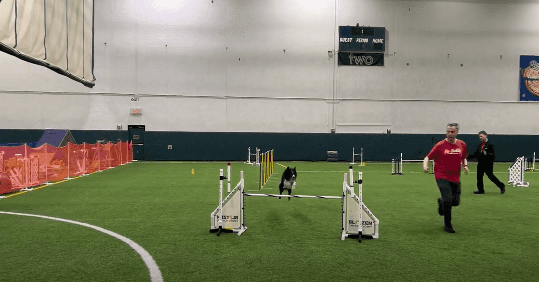 Fix and Go - Premier JWW and Std | AgilityNerd