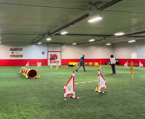 Compassion: Agility Training Facilities | AgilityNerd