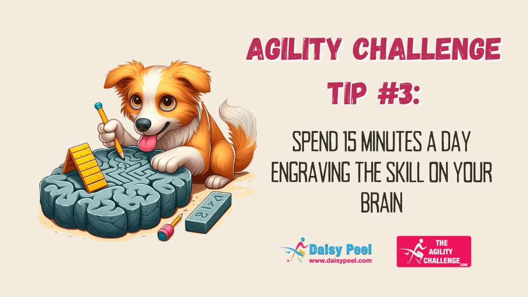 Daisy Peel's Agility Challenge Tip 3 - Engraving Approach | AgilityNerd