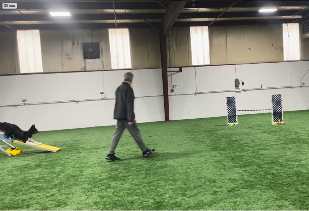 Compassion: Agility Training Facilities | AgilityNerd