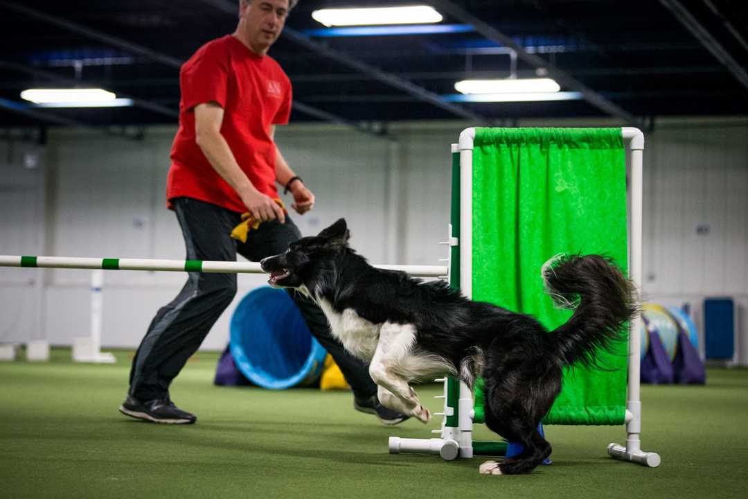 Steve's Seminars | AgilityNerd