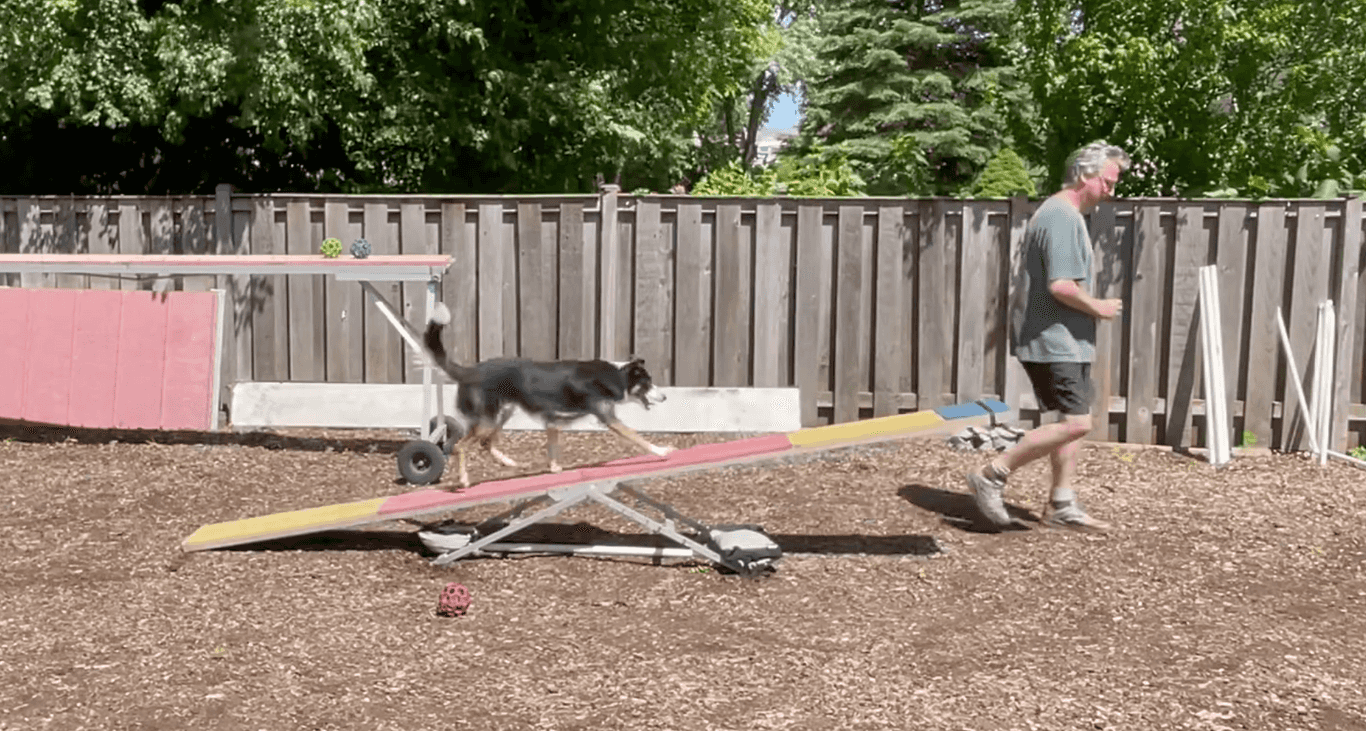 All posts | AgilityNerd