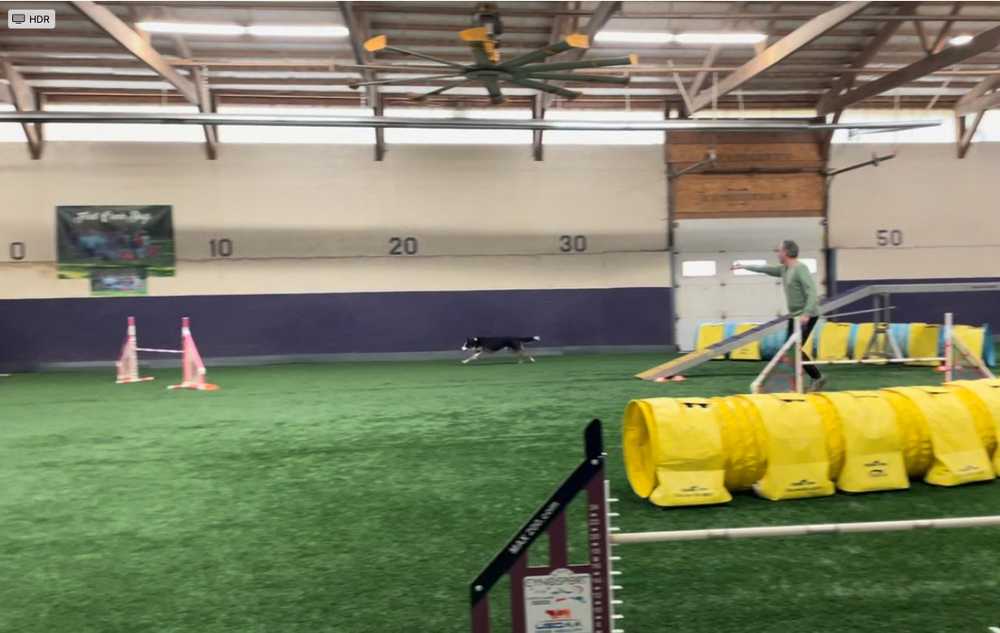 Compassion: Agility Training Facilities | AgilityNerd