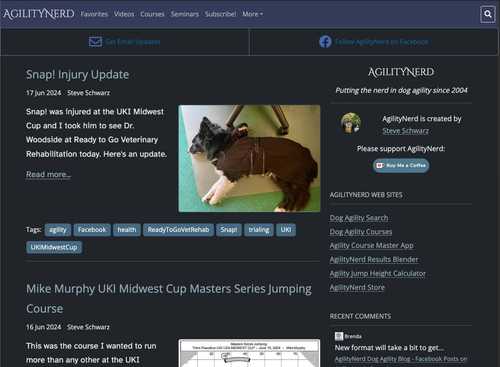 AgilityNerd Blog Now Has Dark Mode! | AgilityNerd