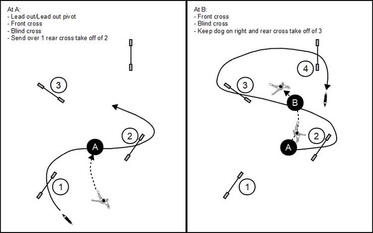 Posts Tagged With "CleanRun" | AgilityNerd