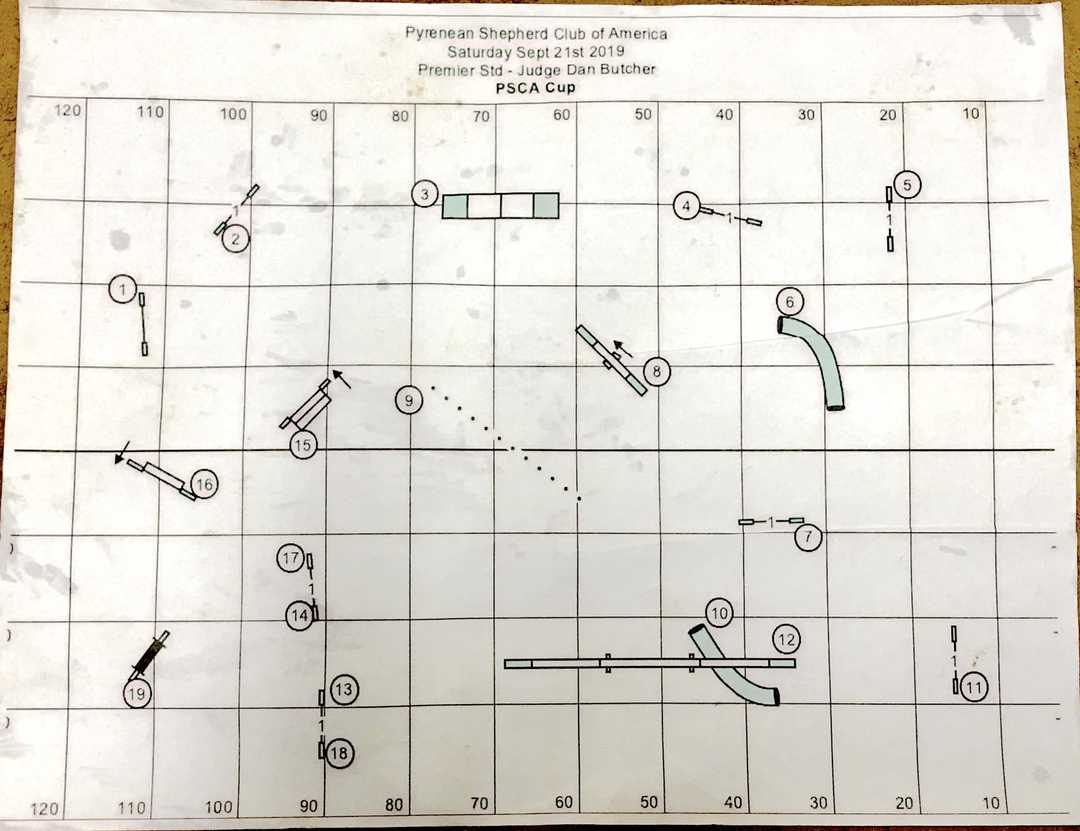 Posts Tagged With "Serpentine" | AgilityNerd