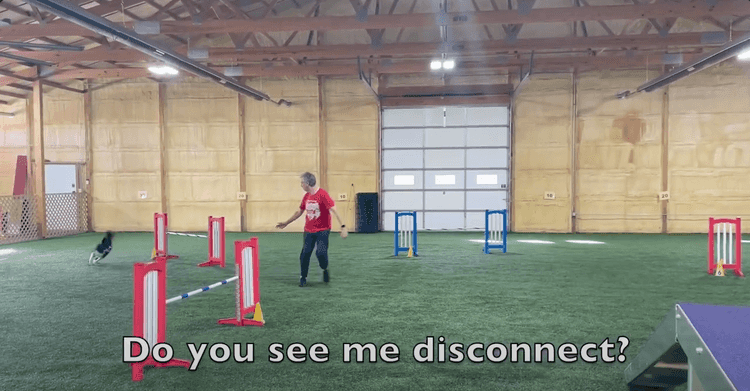 Staying Connected and Visual Focus - Video | AgilityNerd