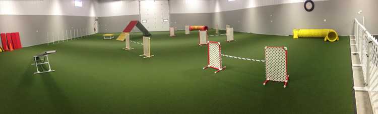 Serpentine Sequence | AgilityNerd