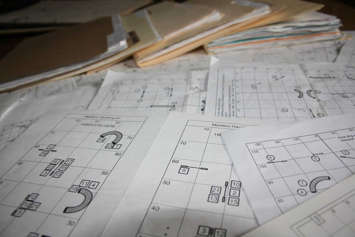 Agility Course Maps Website | AgilityNerd