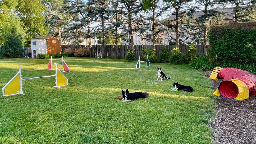 All posts | AgilityNerd