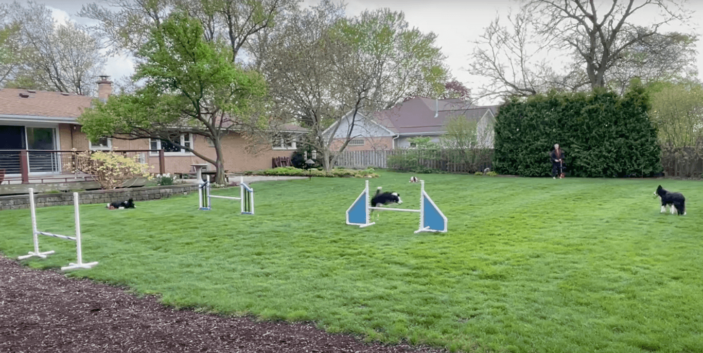 Threadle Distance Challenge - Take 2 | AgilityNerd