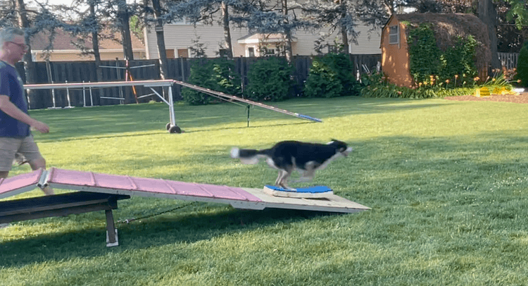 All posts | AgilityNerd